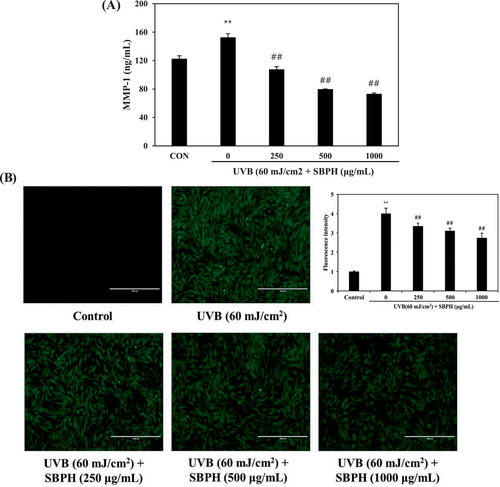 ZFIN Image: Im et al., 2025, Fig. 3